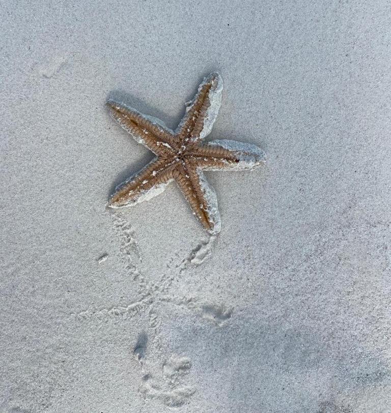 Album photo de Jordan Brossard | Mexique Découverte