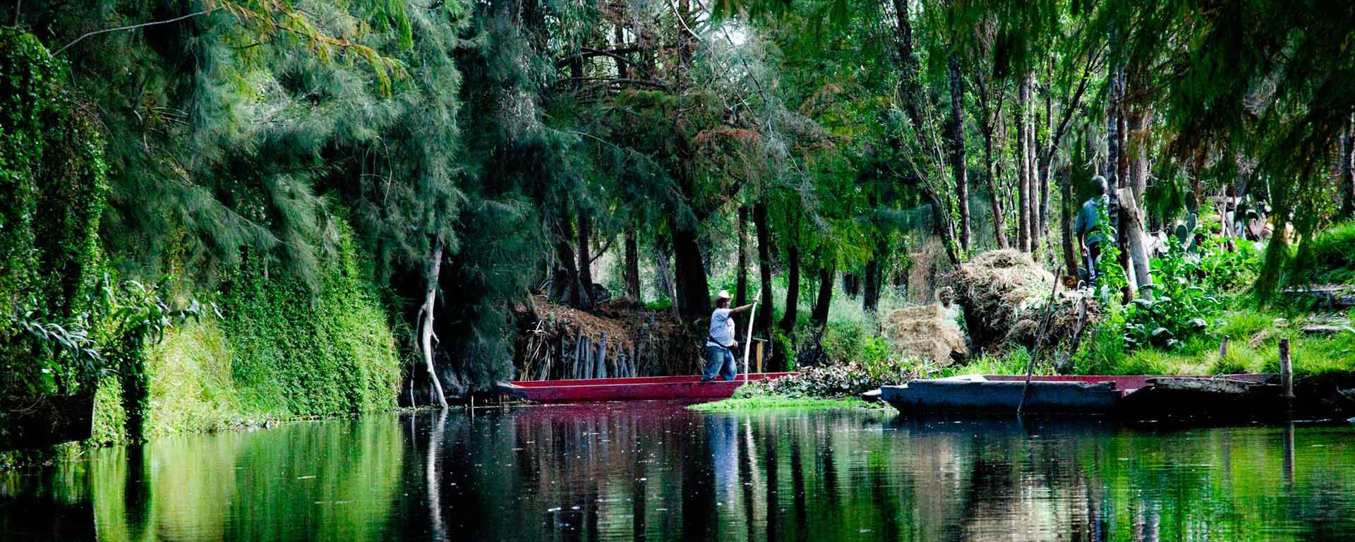 Les chinampas mexicaines renaissent à la Biennale de Venise - Mexique ...