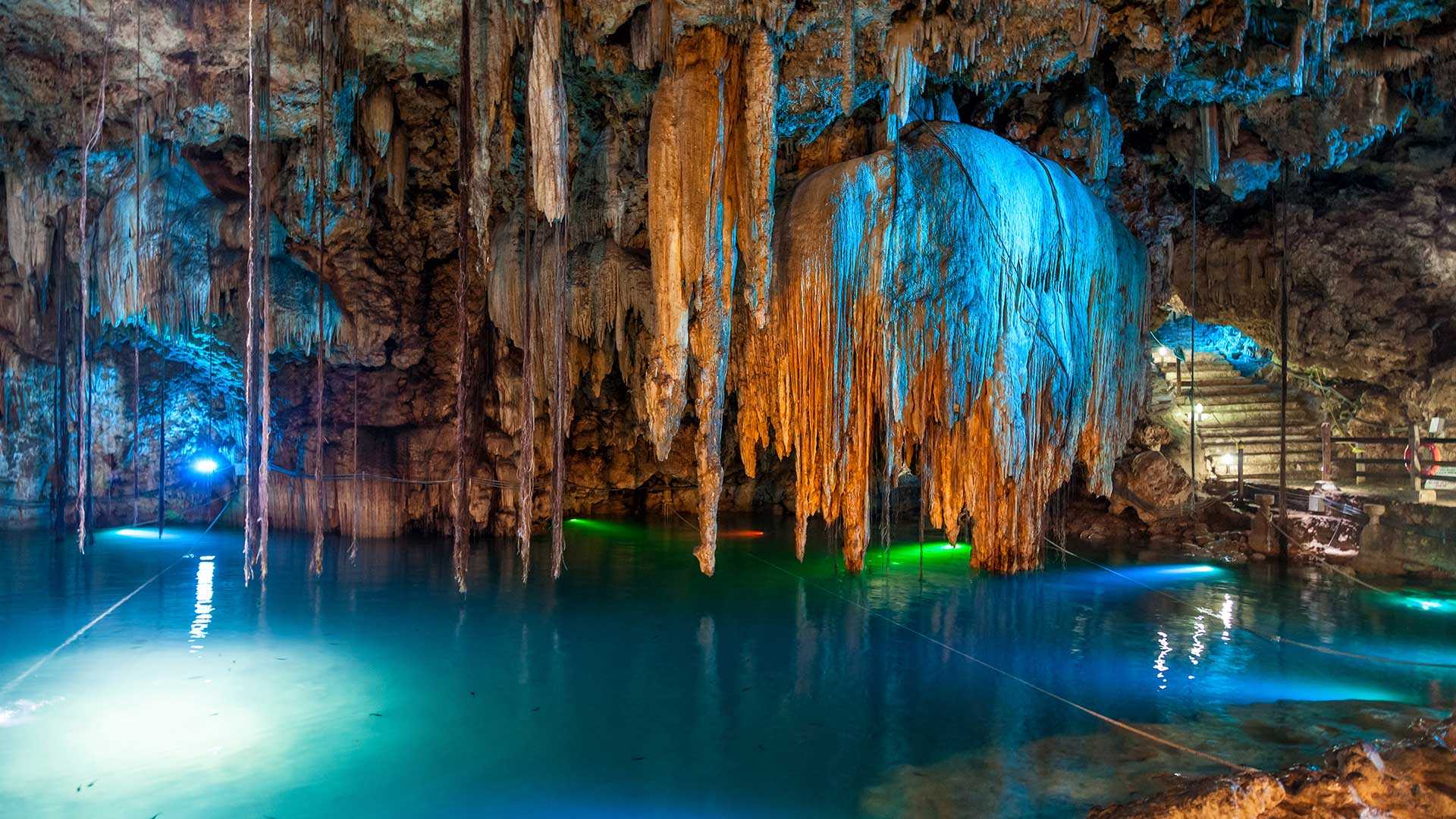 Cenote Zaci : le guide complet 2026 | Mexique Découverte